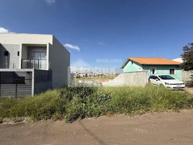 Terreno / Lote para Venda em Ponta Grossa/PR Cará cará