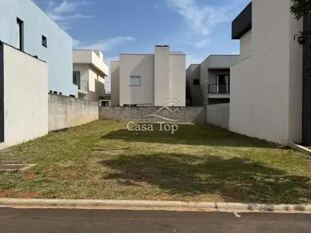 Terreno / Lote para Venda em Ponta Grossa/PR Cará cará