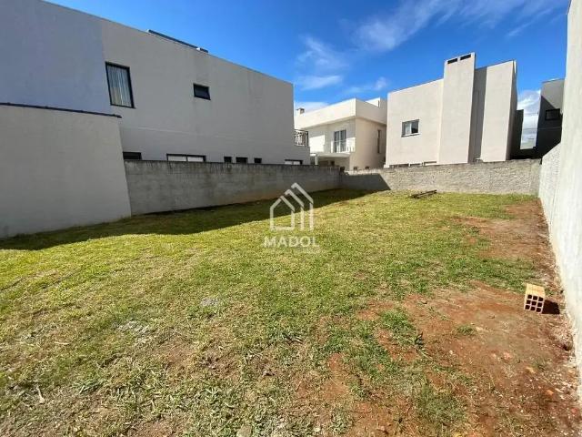 Terreno / Lote para Venda em Ponta Grossa/PR Cará cará
