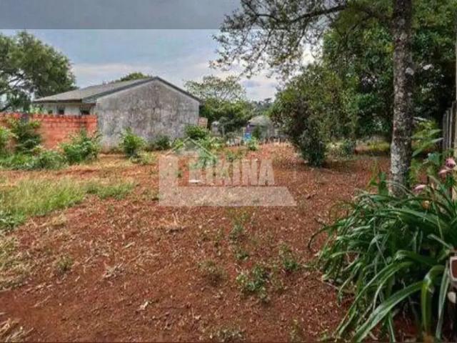 Terreno / Lote para Venda em Ponta Grossa/PR Cará cará