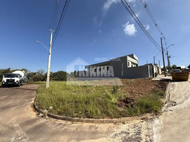Terreno / Lote para Venda em Ponta Grossa/PR Cará cará