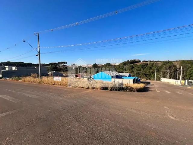 Terreno / Lote para Venda em Ponta Grossa/PR Cará cará