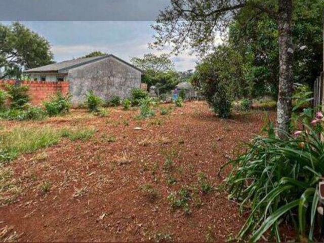 Terreno / Lote para Venda em Ponta Grossa/PR Cará cará