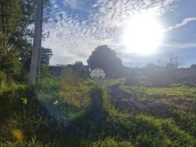 Terreno / Lote para Venda em Ponta Grossa/PR Cará cará