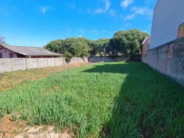 Terreno / Lote para Venda em Ponta Grossa/PR Cará cará