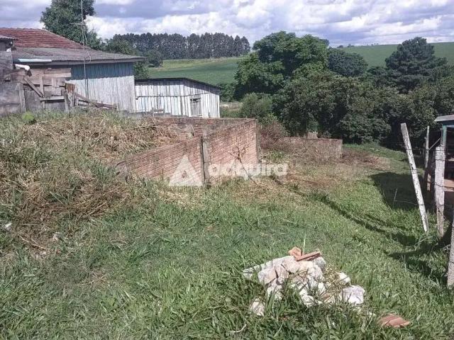 Terreno / Lote para Venda em Ponta Grossa/PR Cará cará
