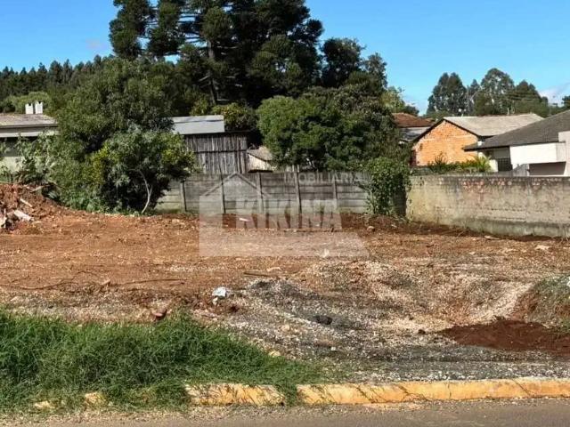 Terreno / Lote para Venda em Ponta Grossa/PR Cará cará