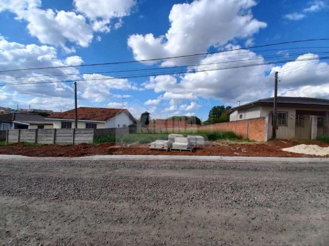 Terreno / Lote para Venda em Ponta Grossa/PR Cará cará