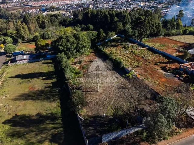 Terreno / Lote para Venda em Ponta Grossa/PR Cará cará