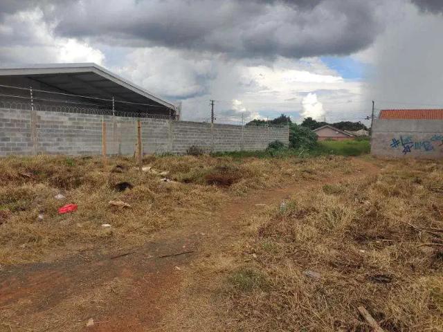 Terreno / Lote para Venda em Ponta Grossa/PR Cará cará