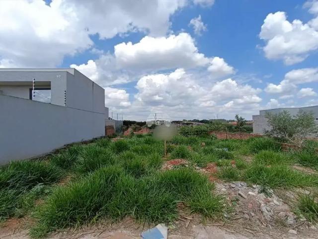 Terreno / Lote para Venda em Ponta Grossa/PR Cará cará
