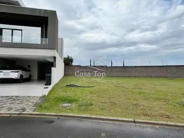 Terreno / Lote para Venda em Ponta Grossa/PR Cará cará