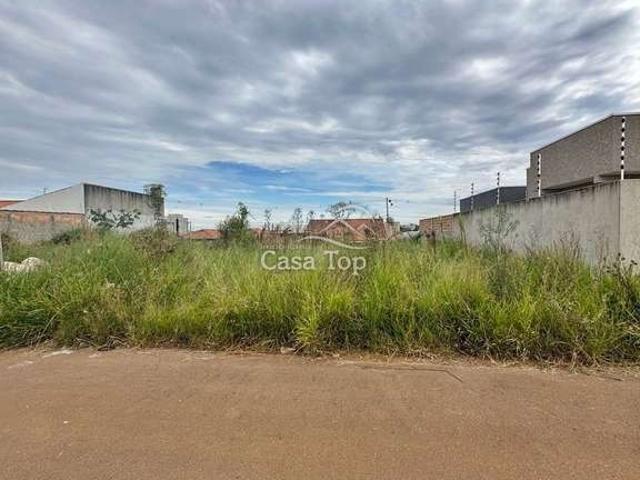 Terreno / Lote para Venda em Ponta Grossa/PR Cará cará