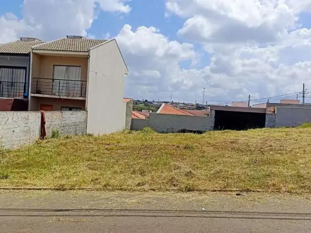Terreno / Lote para Venda em Ponta Grossa/PR Cará cará