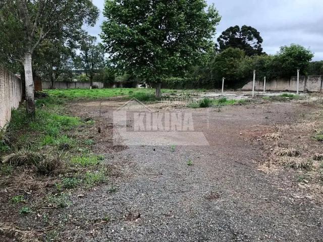 Terreno / Lote para Venda em Ponta Grossa/PR Cará cará