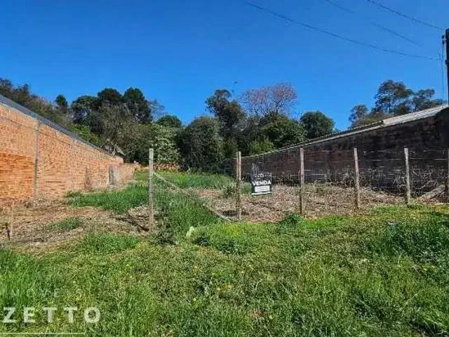 Terreno / Lote para Venda em Ponta Grossa/PR Cará cará