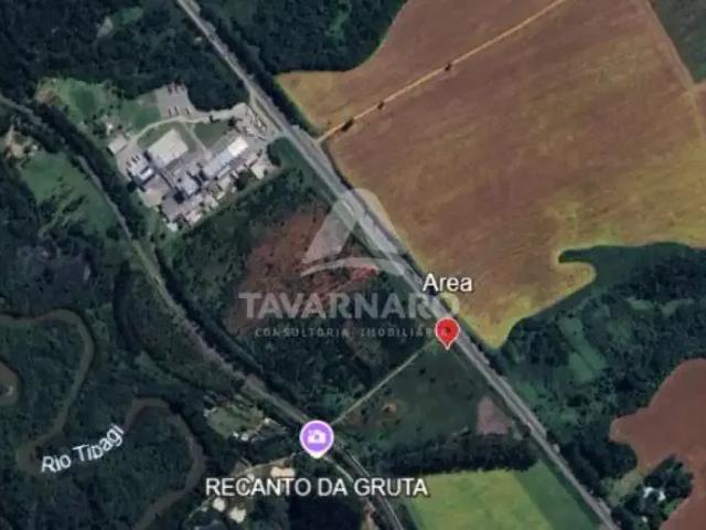 Terreno / Lote para Venda em Ponta Grossa/PR Cará cará