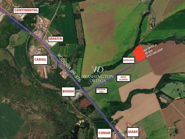 Terreno / Lote para Venda em Ponta Grossa/PR Cará cará