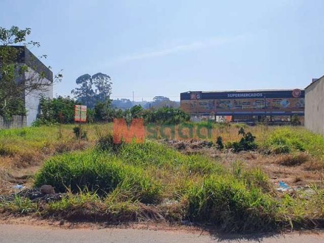 Terreno / Lote para Venda em Ponta Grossa/PR Cará cará