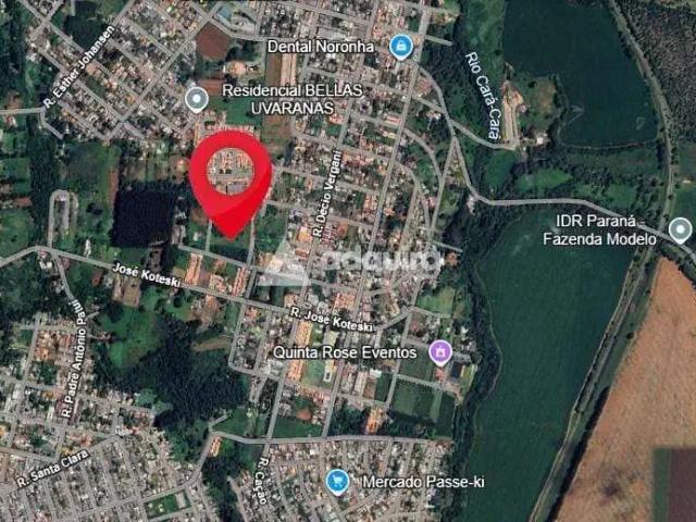 Terreno / Lote para Venda em Ponta Grossa/PR Cará cará