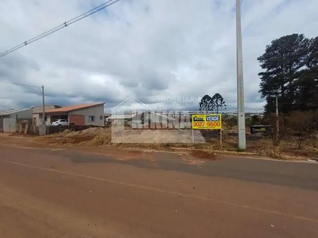 Terreno / Lote para Venda em Ponta Grossa/PR Cará cará