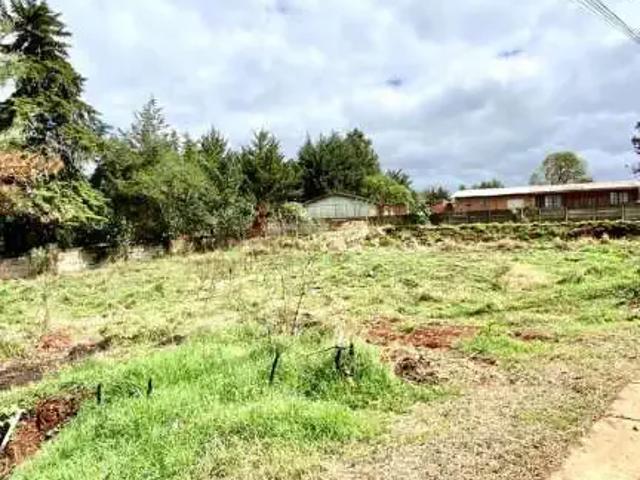 Terreno / Lote para Venda em Ponta Grossa/PR Cará cará