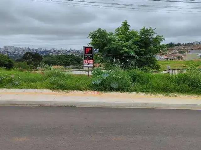 Terreno / Lote para Venda em Ponta Grossa/PR Cará cará