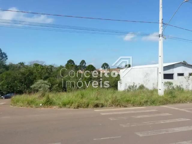 Terreno / Lote para Venda em Ponta Grossa/PR Cará cará