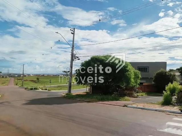 Terreno / Lote para Venda em Ponta Grossa/PR Cará cará