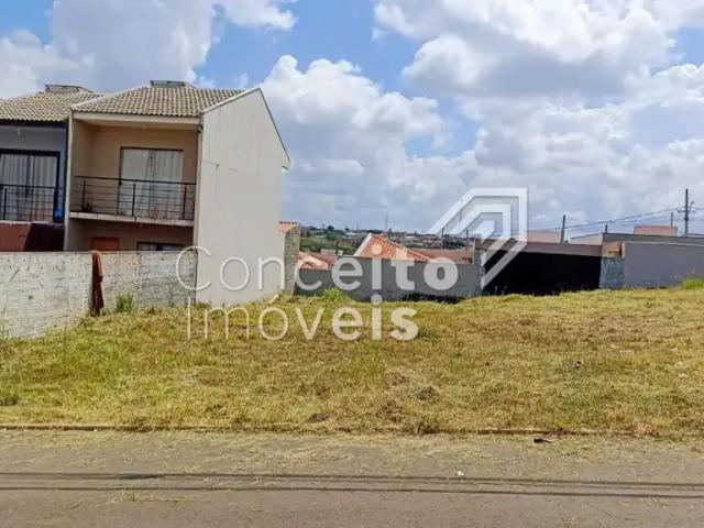 Terreno / Lote para Venda em Ponta Grossa/PR Cará cará