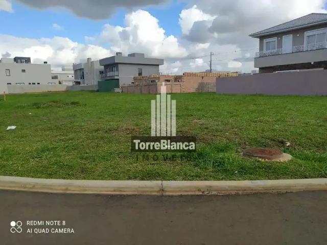 Terreno / Lote para Venda em Ponta Grossa/PR Cará cará