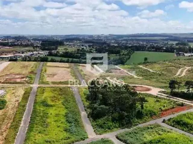 Terreno / Lote para Venda em Ponta Grossa/PR Cará cará
