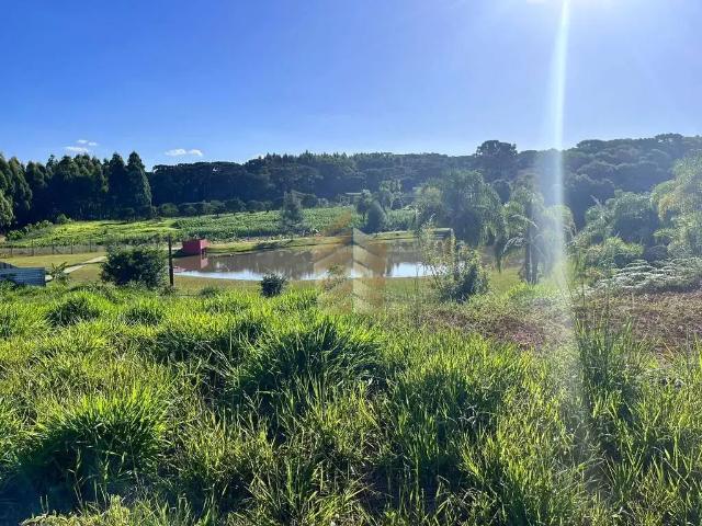 Terreno / Lote para Venda em Ponta Grossa/PR Centro