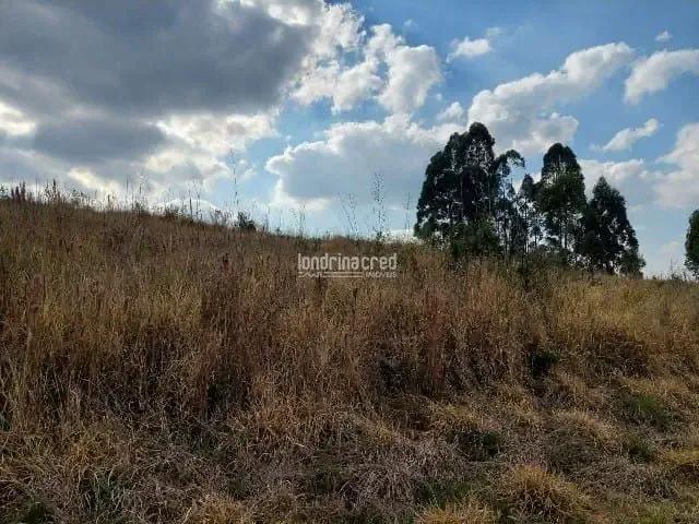 Terreno / Lote para Venda em Ponta Grossa/PR Centro