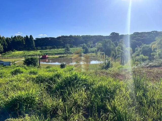 Terreno / Lote para Venda em Ponta Grossa/PR Centro