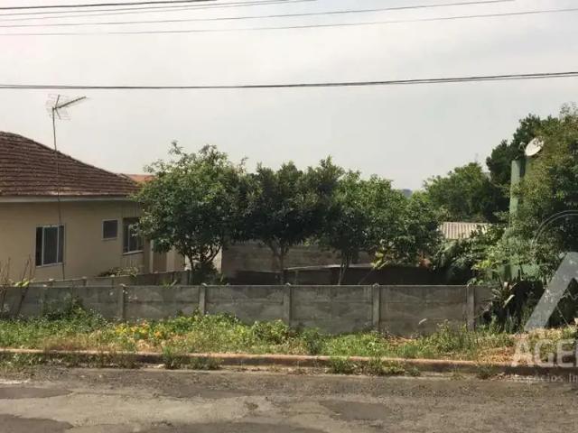 Terreno / Lote para Venda em Ponta Grossa/PR Centro