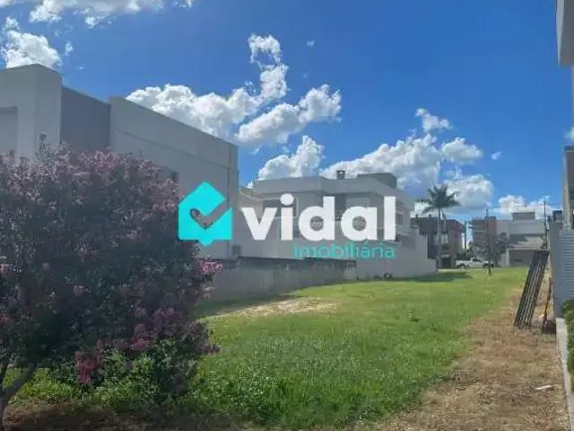Terreno / Lote para Venda em Ponta Grossa/PR Centro