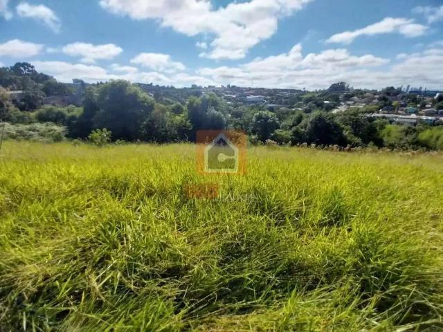 Terreno / Lote para Venda em Ponta Grossa/PR Chapada