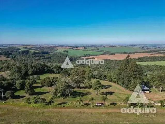 Terreno / Lote para Venda em Ponta Grossa/PR Chapada
