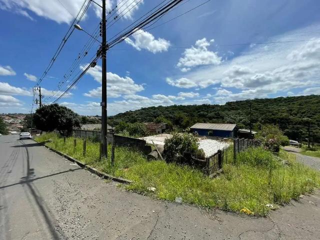 Terreno / Lote para Venda em Ponta Grossa/PR Chapada