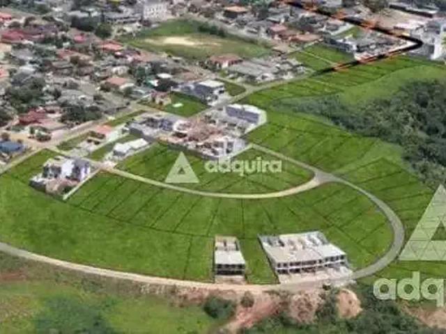 Terreno / Lote para Venda em Ponta Grossa/PR Chapada