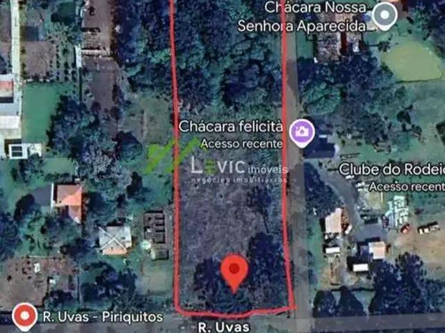 Terreno / Lote para Venda em Ponta Grossa/PR Chapada