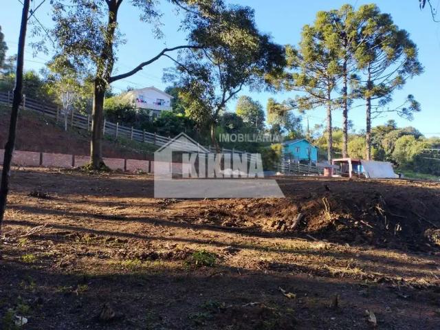 Terreno / Lote para Venda em Ponta Grossa/PR Chapada