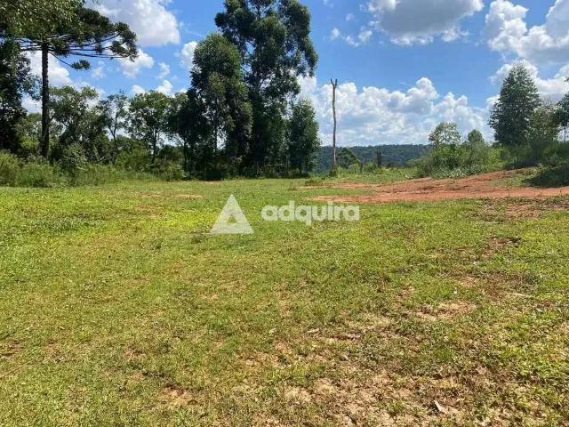 Terreno / Lote para Venda em Ponta Grossa/PR Chapada