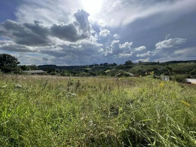 Terreno / Lote para Venda em Ponta Grossa/PR Chapada