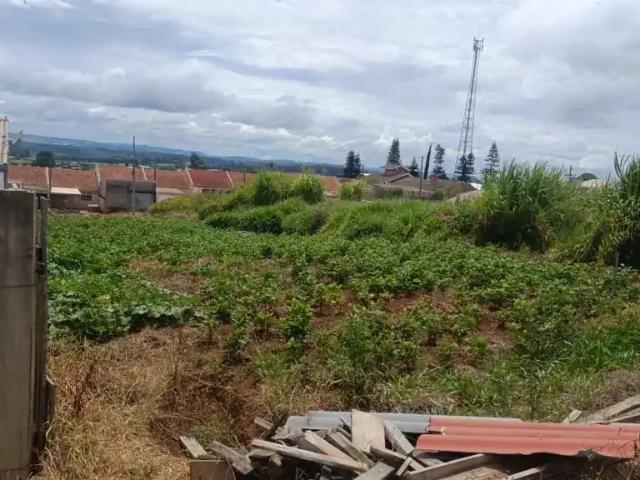 Terreno / Lote para Venda em Ponta Grossa/PR Chapada