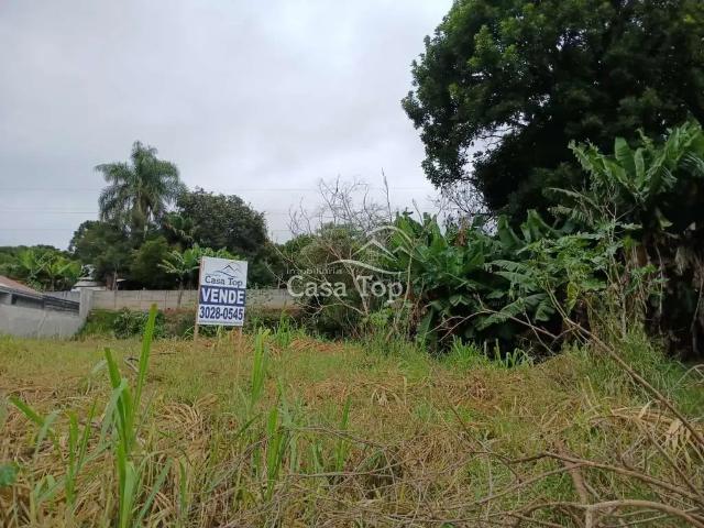 Terreno / Lote para Venda em Ponta Grossa/PR Chapada