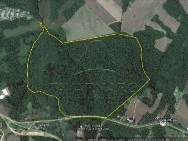 Terreno / Lote para Venda em Ponta Grossa/PR Chapada