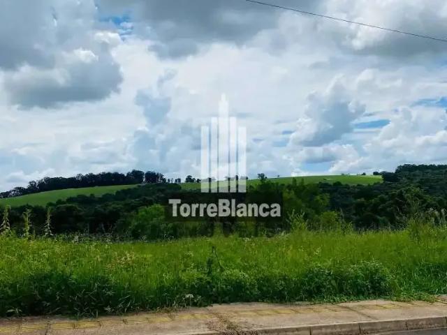 Terreno / Lote para Venda em Ponta Grossa/PR Contorno