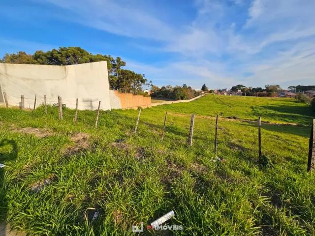 Terreno / Lote para Venda em Ponta Grossa/PR Contorno